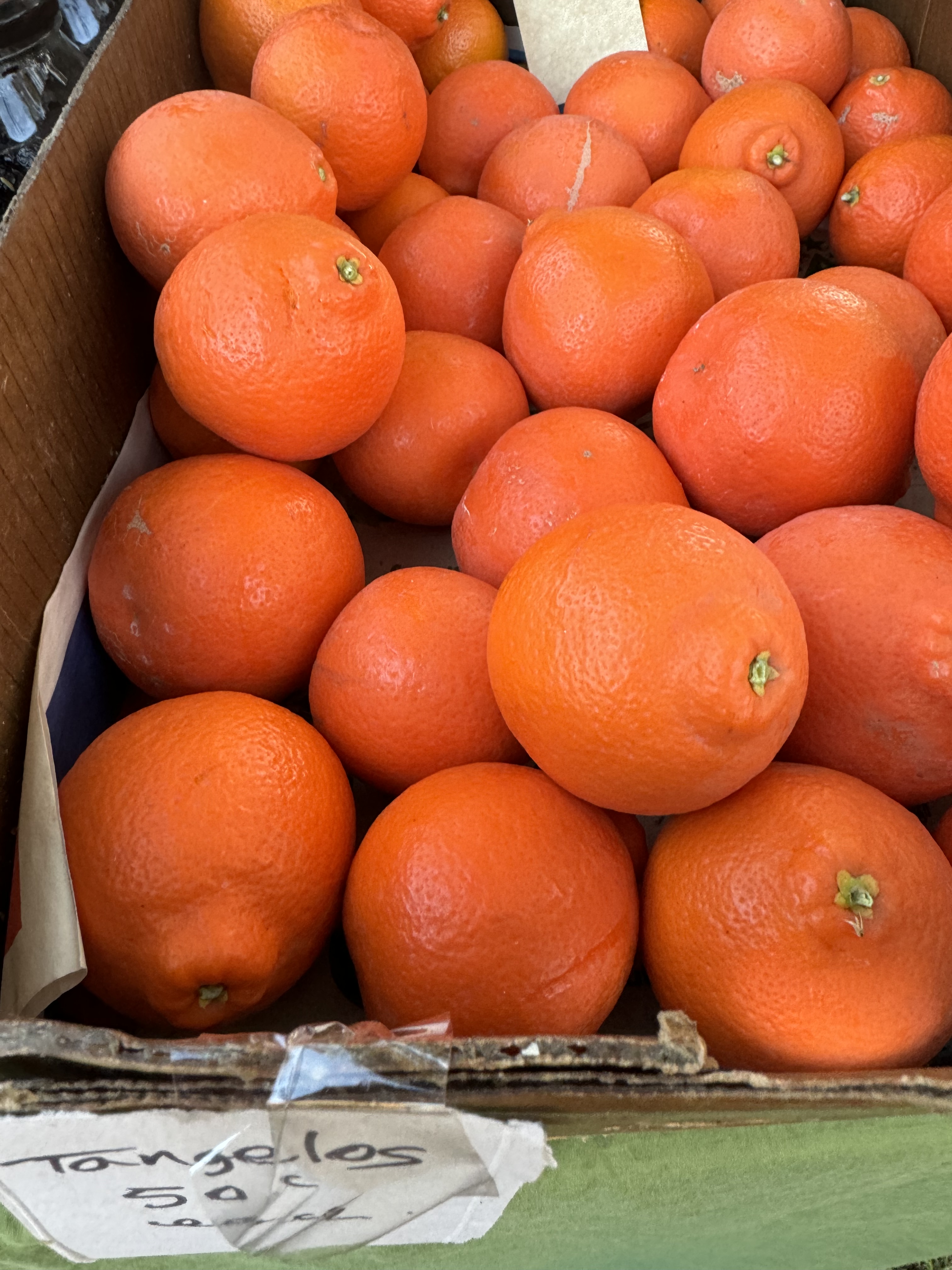 Sunraysia Farmers & Makers Market | From the farm to your plate, from ...
